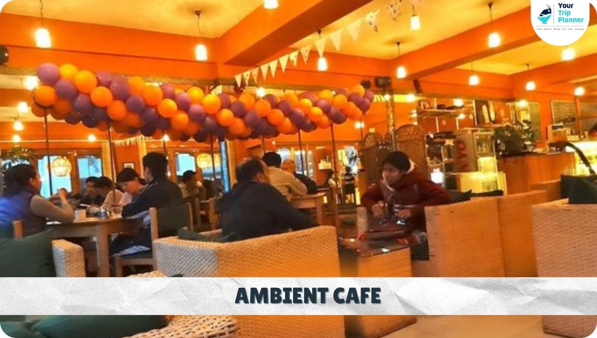 Picture Perfect: Discovering Thimphu's Most Photogenic Cafe Hotspots