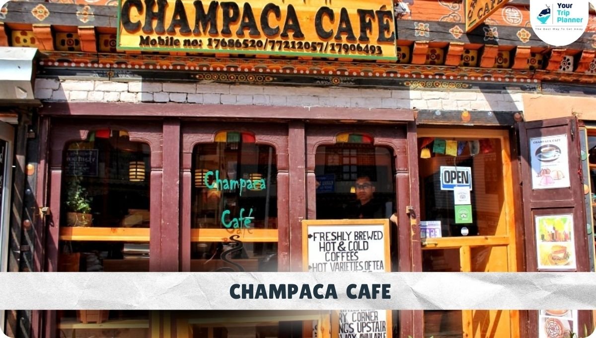 Picture Perfect: Discovering Thimphu's Most Photogenic Cafe Hotspots